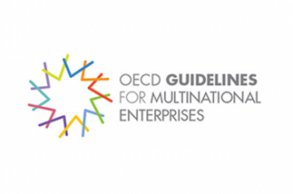 A new era for human rights and environmental due diligence: the OECD ...